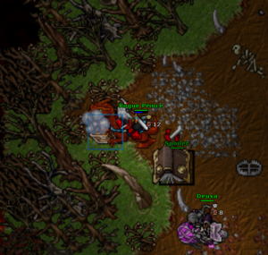 Time Dungeon Quest - Parte 2 - Lord Retro - Tibia Life