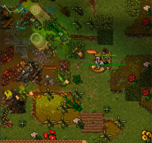 #WU23 - 20 Years a Cook - Parte 1 - Tibia Life