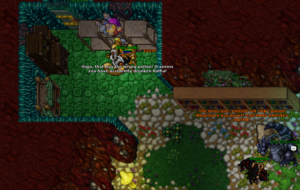 #WU23 - 20 Years a Cook - Parte 1 - Tibia Life