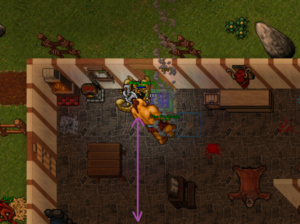 #WU23 - 20 Years a Cook - Parte 1 - Tibia Life