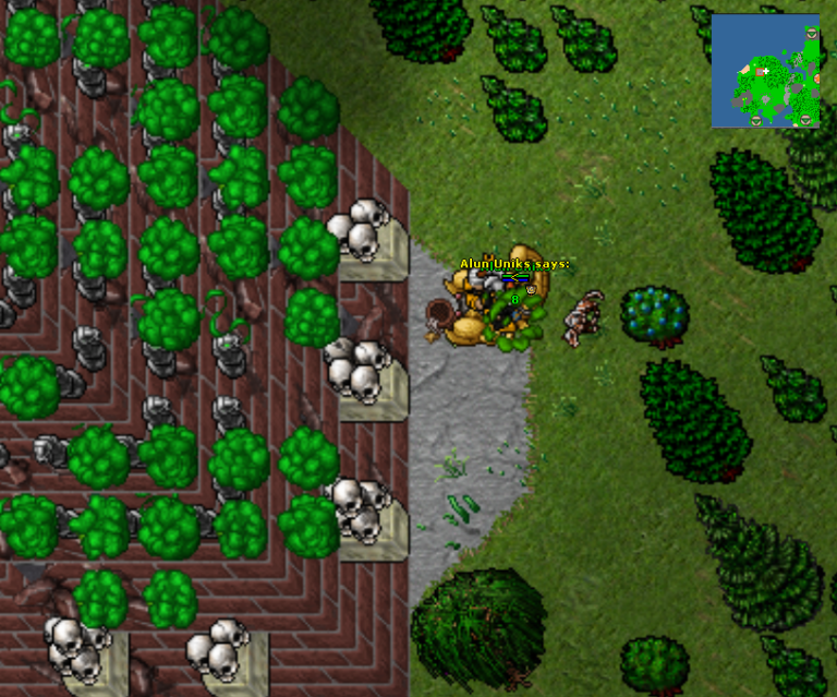 #WU23 - 20 Years a Cook - Parte 1 - Tibia Life