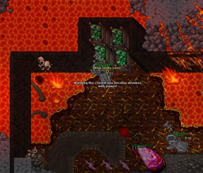 #WU23 - 20 Years a Cook - Parte 1 - Tibia Life