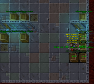 #WU23 - 20 Years a Cook - Parte 1 - Tibia Life