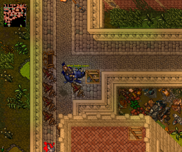 #WU23 - 20 Years a Cook - Parte 1 - Tibia Life