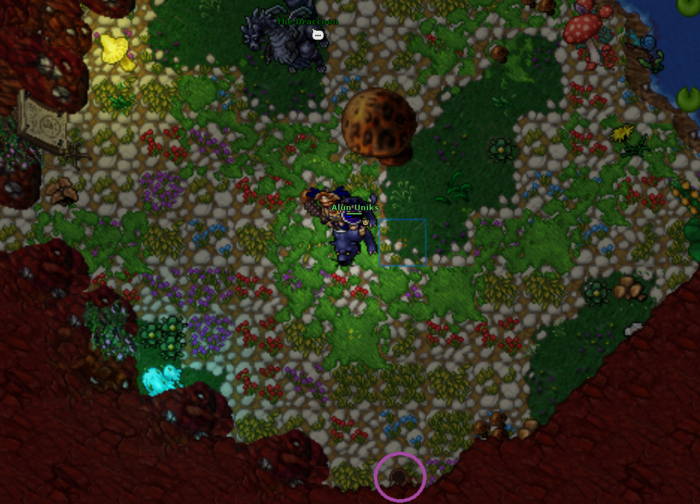 #WU23 - 20 Years a Cook - Parte 1 - Tibia Life