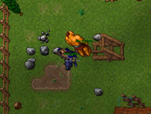 #WU23 - 20 Years a Cook - Parte 1 - Tibia Life