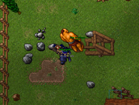 #WU23 - 20 Years a Cook - Parte 1 - Tibia Life