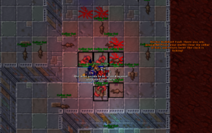 #WU23 - 20 Years a Cook - Parte 1 - Tibia Life