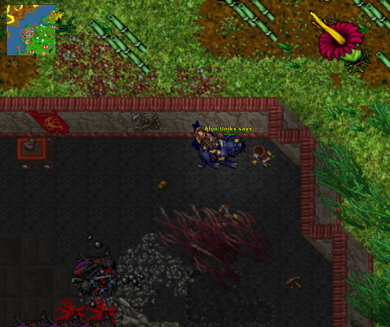 #WU23 - 20 Years a Cook - Parte 2 - Tibia Life